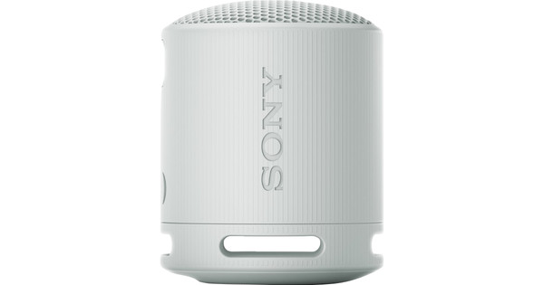 Sony SRS-XB100 Gray - Coolblue - Before 23:59, delivered tomorrow