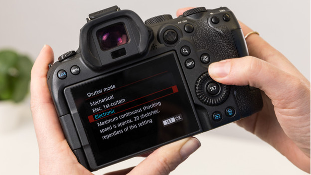 Expert review of the Canon EOS R6 - Coolblue - anything for a smile