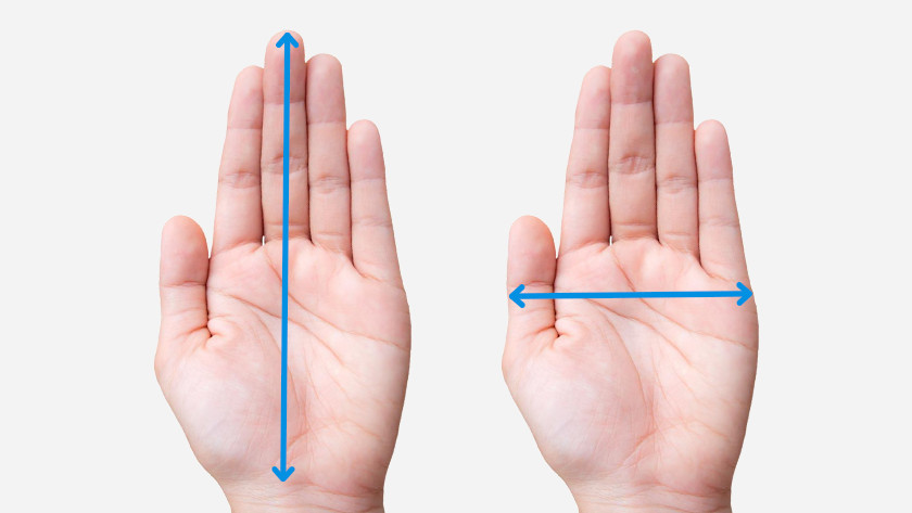 Hoe kies je de juiste maat muis? - Coolblue - Voor 23.59u, morgen in huis